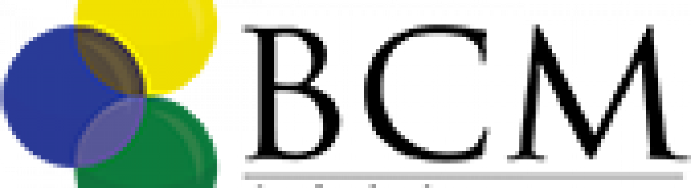 bcm_alliance-logo-new - BCT Asia Advisory